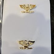 Amazon.com: COLONEL EAGLE GOLD UNIFORM COLLAR BRASS PINS INSIGNIA ...