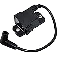Amazon.com: 827509A10 114-7509 827509A7 827509T7 Ignition Coil CDM ...
