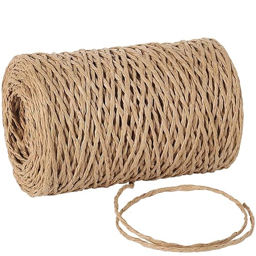 Tenn Well Paper String, 328 Feet 2mm Craft Raffia Ribbon for Gift ...