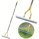 Amazon.com : Thatch Rake, Primachen Lawn Dethatcher Rake, 13.4 Inch ...