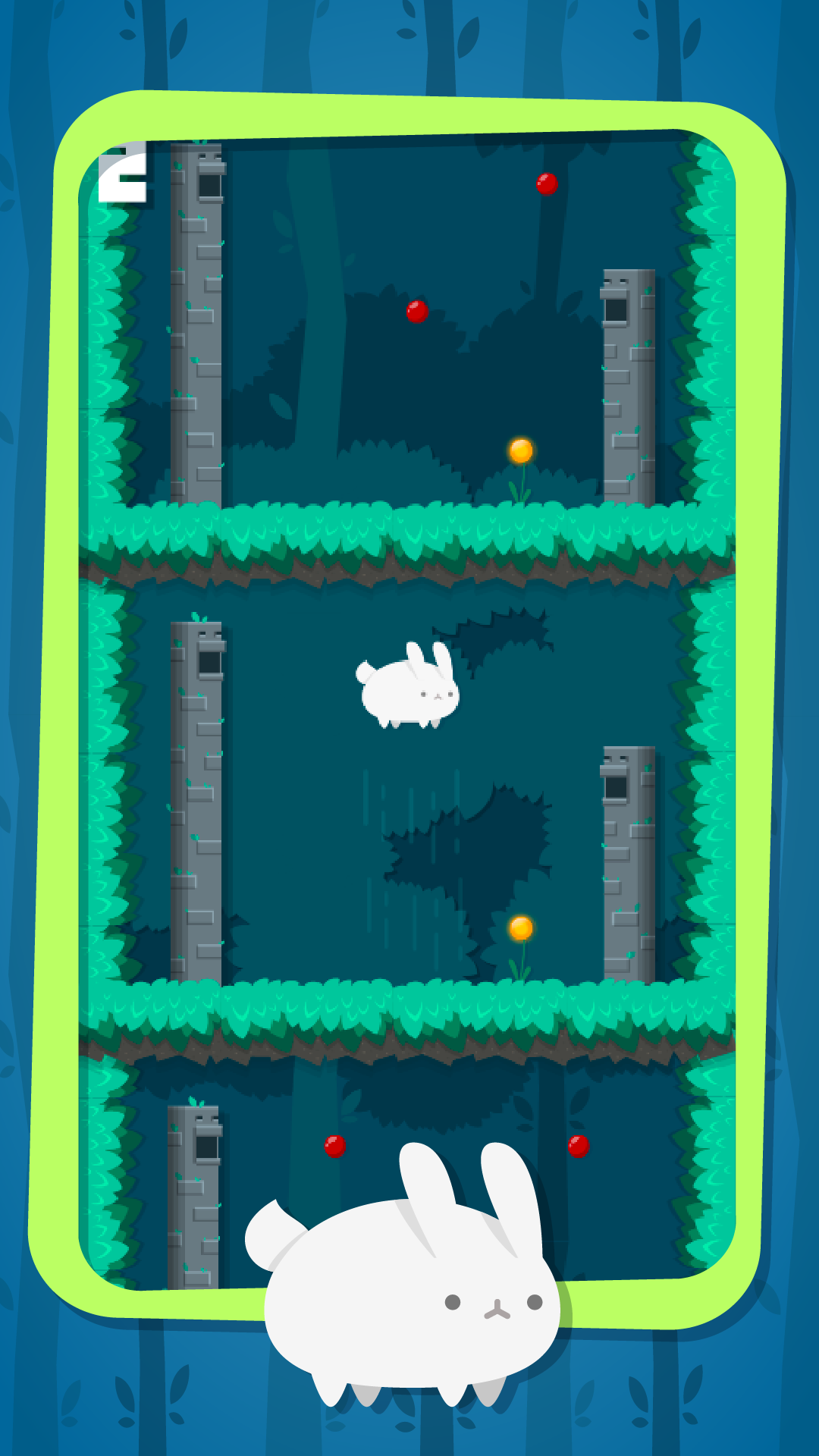 Amazon.com: Super Rabbit Jump Challenge - Cute pets jumping endless one ...