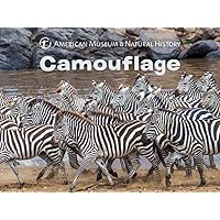 Camouflage (Science for Toddlers): American Museum of Natural History ...