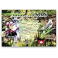 Amazon.com : ARKANSAS STATE MAP postcard set of 20 identical postcards ...