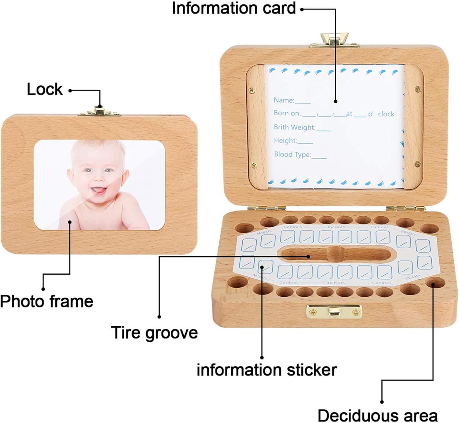 Baby Teeth Box, Wooden Teeth Saves Box, Tooth Keepsake Box, Milk Teeth ...