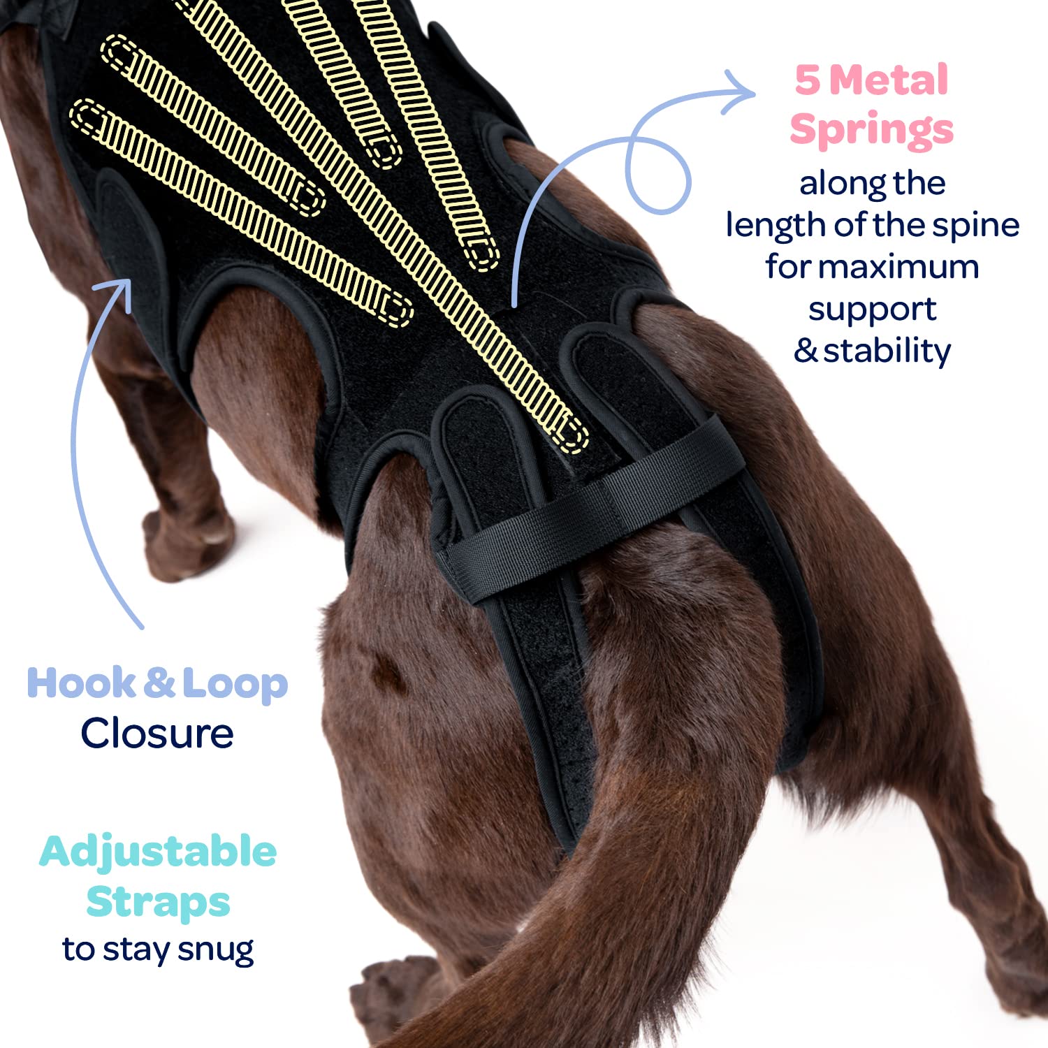 Mua Labra Dog Canine K9 Back Brace - IVDD Spine Pain & Spinal Injury ...