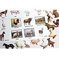 Amazon.com: Montessori Animal Match - Miniature Farm Animal Toy ...