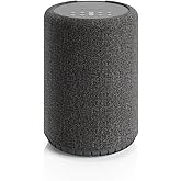 Amazon.com: Audio Pro C10 MKII Wireless Speaker, WiiM Edition | High-Fidelity Sound, Multi-Room ...