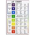 Amazon.com: LGDSBHH Alkaline Diet Balance Sheet PH Food Chart Poster ...