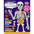 Amazon.com: Human Anatomy Activity Book for Kids: Great Workbook for ...