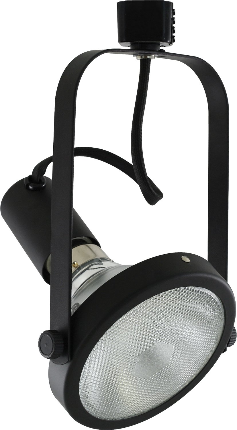 Liteline PAR222/38-BK Athena PAR38 Track Fixture, 120V, Black - Track ...