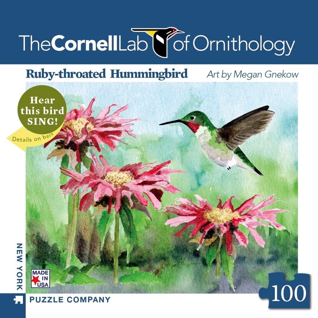 Ruby-throated Hummingbird Mini – NYPC Cornell Lab Collection Mini ...