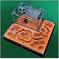 Amazon.com: Clear,Ant Nest Ant Farm Acrylic Ant Ecological Insect House ...