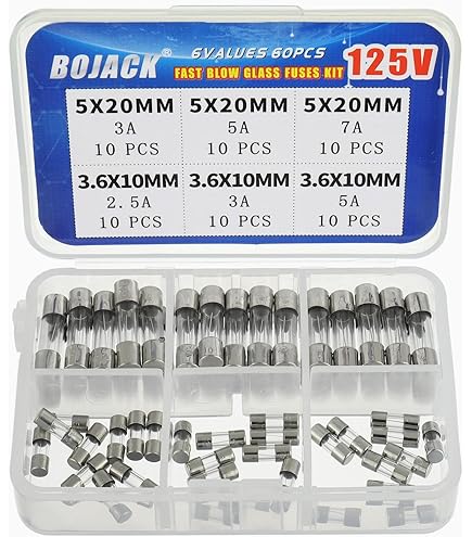 Christmas Light Fuses 10 Amp