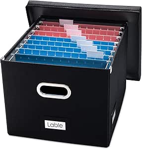 Amazon.com : Prandom File Organizer Box - Set of 1 Collapsible ...
