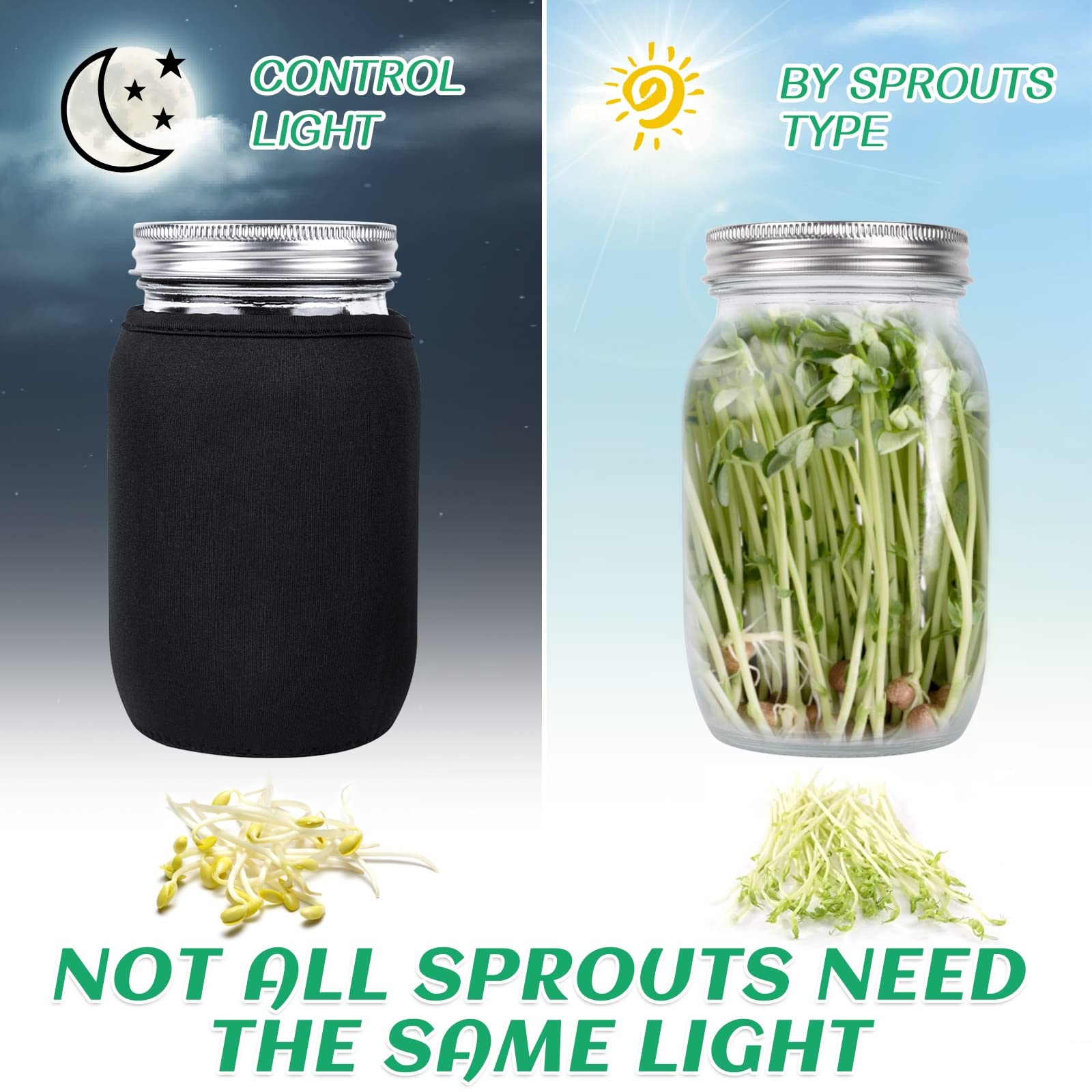 Mua Seed Sprouting Jar Kit with 2 Wide Mouth Mason Jars Bean Sprouts ...