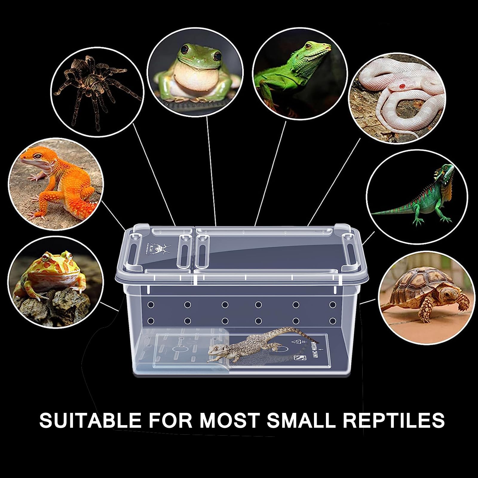 Mua Critter Keeper Ant Farm Cane Toad Trap Little Live Pets Bug Catcher ...