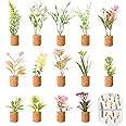 Amazon.com: 14 PCS Plant Fridge Magnets Mini Succulent Artificial ...
