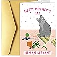 Amazon.com : Funny Cat Mother's Day Card, Cute Mother's Day Card from ...