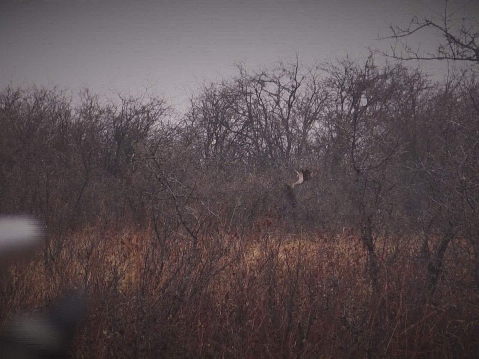 Watch Live 2 Hunt - Season 5 | Prime Video