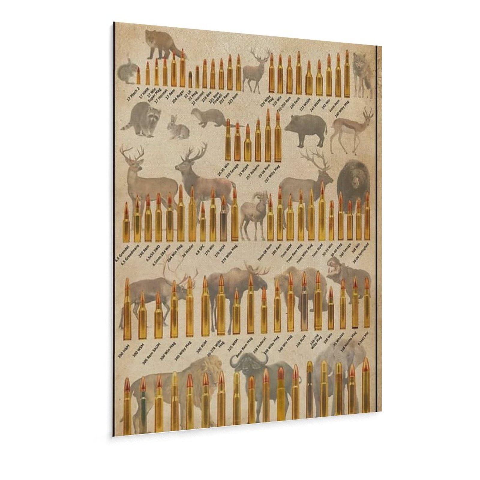 U.S. Bullet Head Chart Poster Bullet Caliber Type Poster Military ...