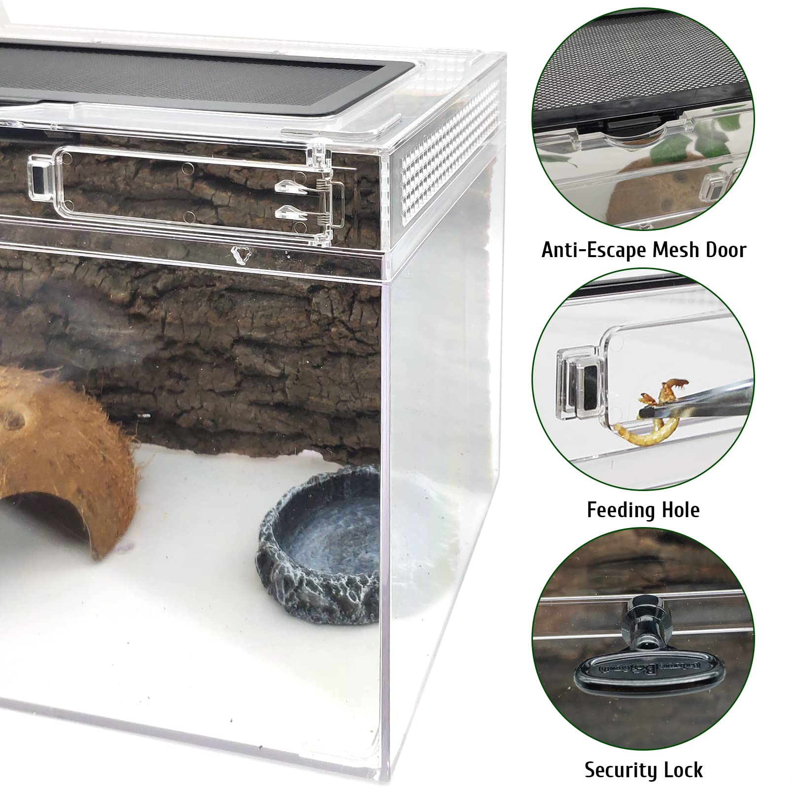 Mua Hamiledyi Reptile PC Glass Terrarium, Amphibians Tank Starter Kits ...