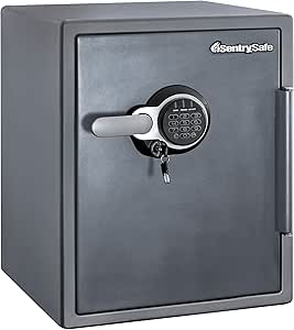 Amazon.com: SentrySafe SFW205GQC Fireproof Safe and Waterproof Safe ...