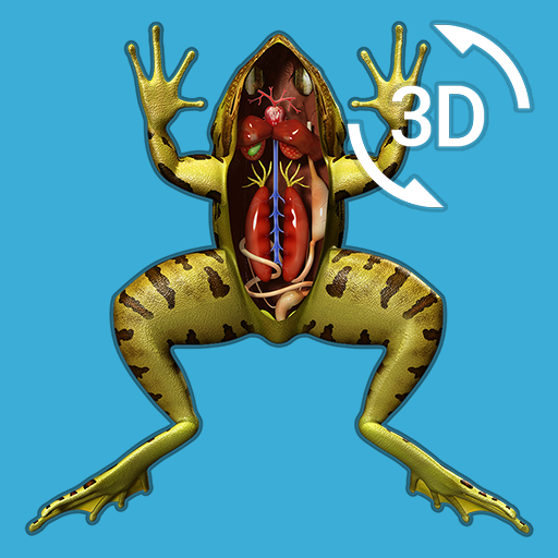 Visual Anatomy - Frog:Amazon.com:Appstore for Android