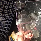 Amazon.com : Finnex External Refugium Breeder Hang-On Box, Water Pump ...