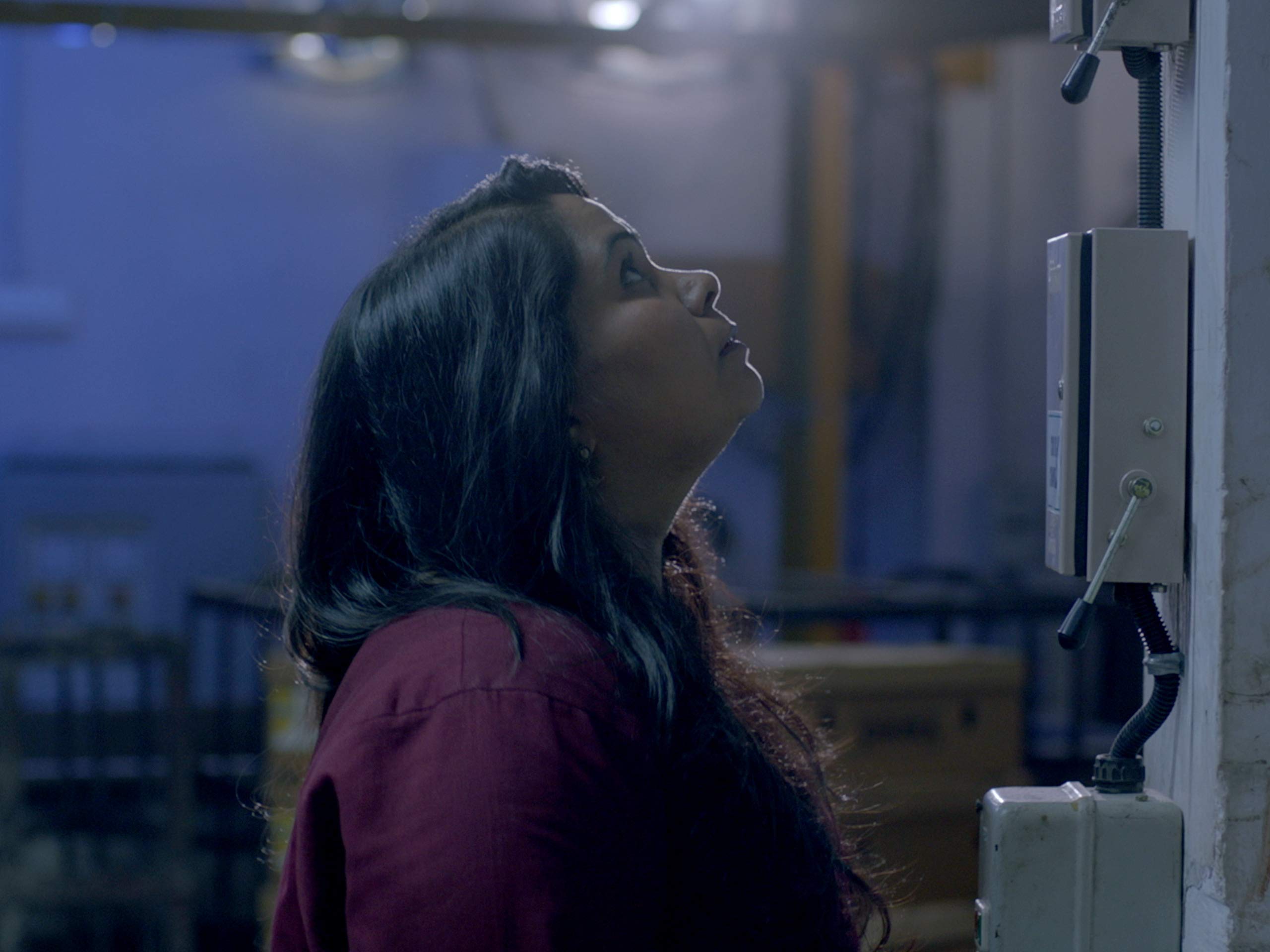 Watch Pushpavalli - Season 2 | Prime Video