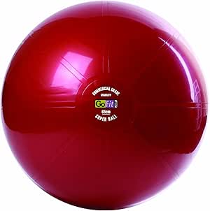 Amazon.com: GoFit 2500lb. Commercial Graded Exercise/Stability Ball ...