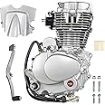 Amazon.com: Borutools ATV 250cc Engine Motor Air-Cooled Vertical Engine 4-Stroke for ATV Dirt ...