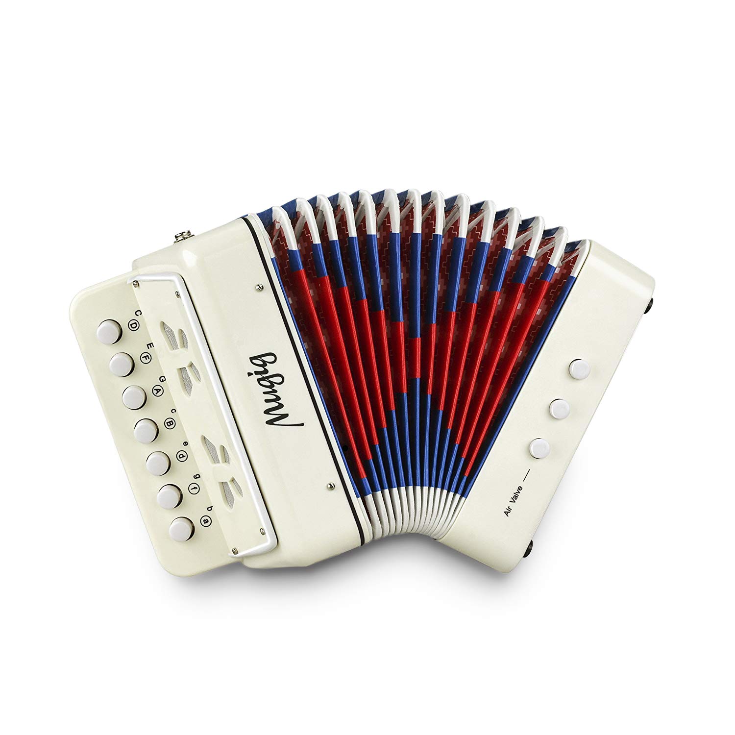 Top 9 Best Kids Accordions Reviews In 2021