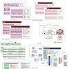 8 Cardiac Badge Reference Card, ACLS, Lab, EKG Rythm & (PDF Cheat Sheet ...