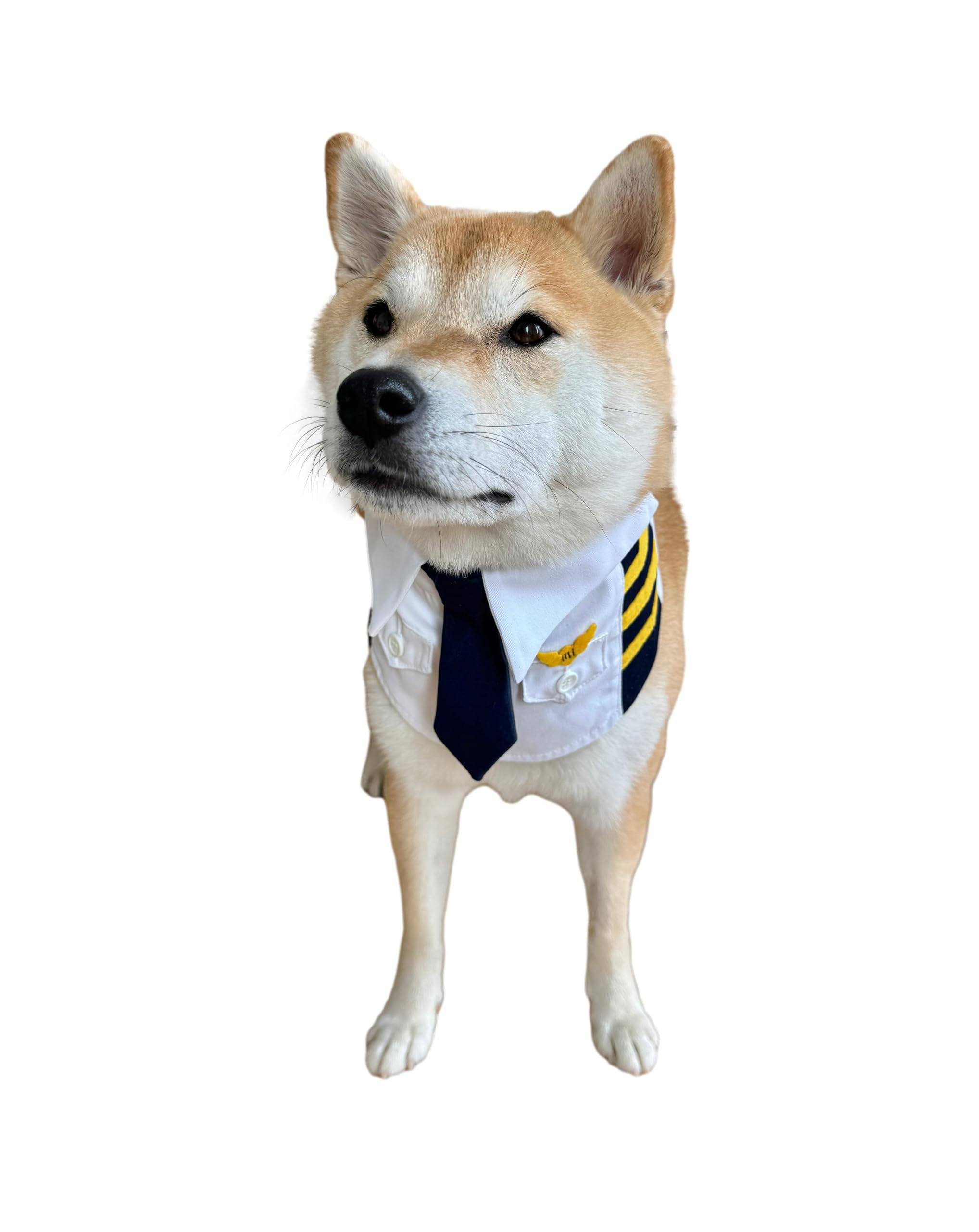 ComfyCamper Dog Pilot Costume Neckband - Captain Tie Collar Small Large ...