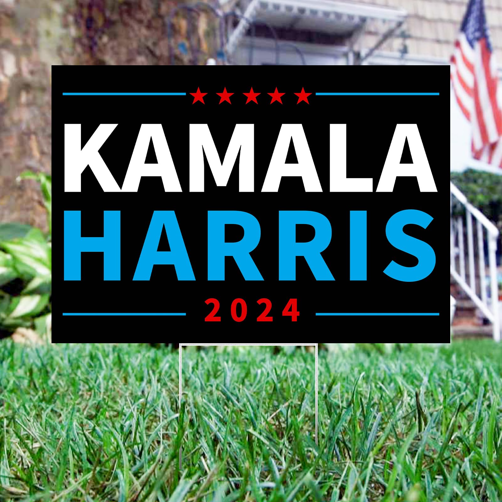 Probsin Kamala Harris 2024 Yard Sign Double Sided 12" x 17" Signs Voted ...