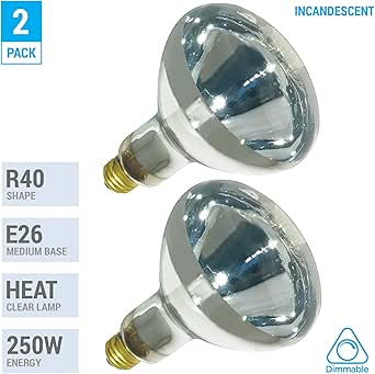 250R40/1 250-Watt, Incandescent R40 Reflector, Clear Head Lamp, Heat ...