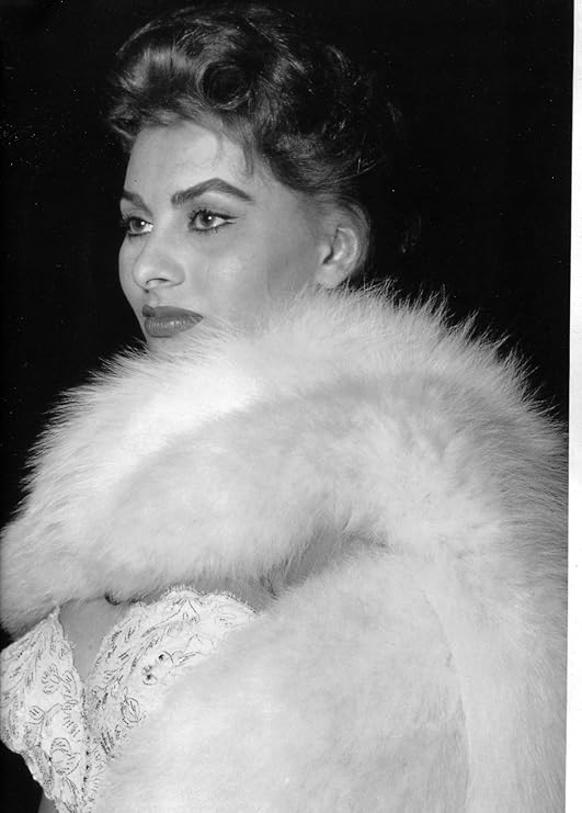 Sophia Loren in Fur Clipping Magazine Photo orig 1pg 8x10 L1130 at ...