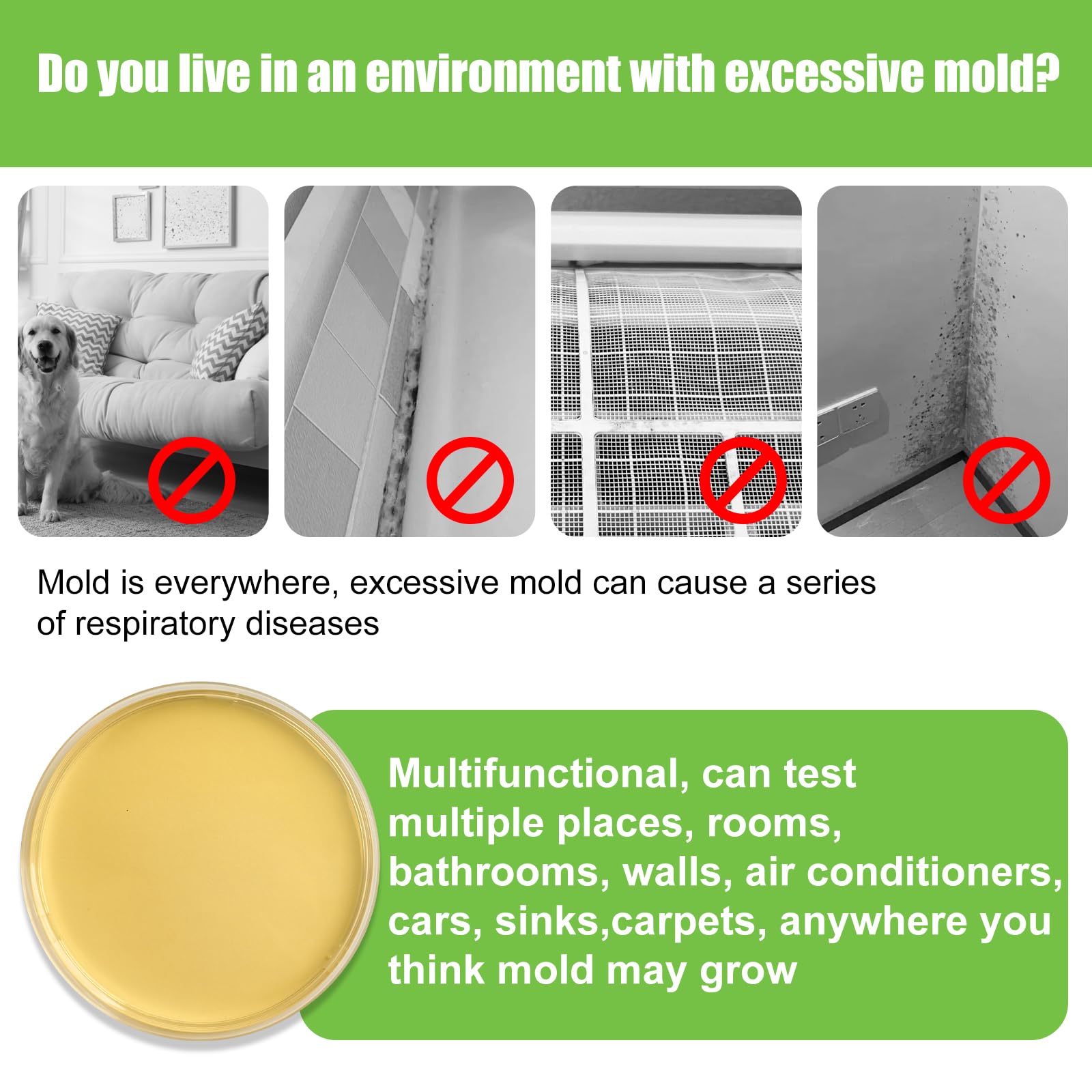 Mua Mold Test Kit for Home - 6 Simple Detection Tests,Test HVAC System ...