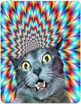 Amazon.com: Crazy Cat Hallucination Fun Vinyl Decal Sticker Skin by ...