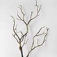 Amazon.com: Meokro Lifelike Curly Willow Branches Decorative Dried ...