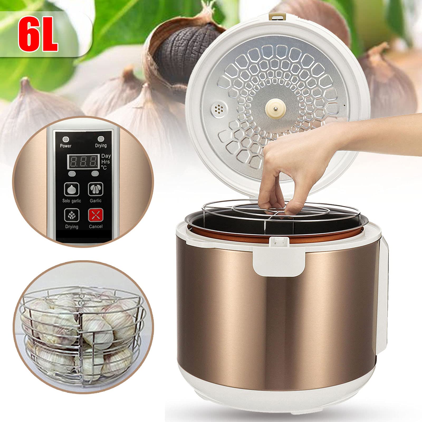 Mua DKBE Black Garlic Fermenter, 6l Large Smart Automatic Black Garlic ...