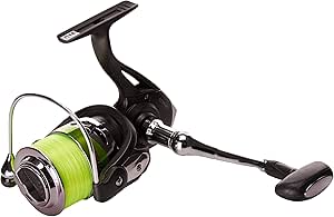 Amazon.com : Lew's Fishing Cat Daddy Spin Reel : Sports & Outdoors