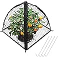 Amazon.com : Strawberry Plant Protector,22 x22 x 22 Inch Cloche Dome ...