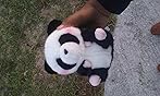 Amazon.com: Aurora - Rolly Pet - 5" Precious Panda, Black, White : Toys ...