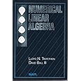 Numerical Linear Algebra: Lloyd N. Trefethen, David Bau III: 8581000033141: Amazon.com: Books