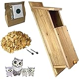 Amazon.com: KingWood Original Cedar Owl House w/Color POP, Screech Owl ...