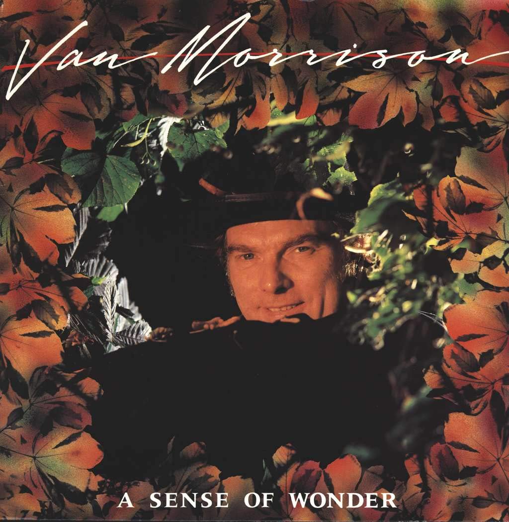 A Sense of Wonder : Van Morrison: Amazon.fr: CD et Vinyles}