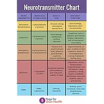 Neurotransmitter Chart