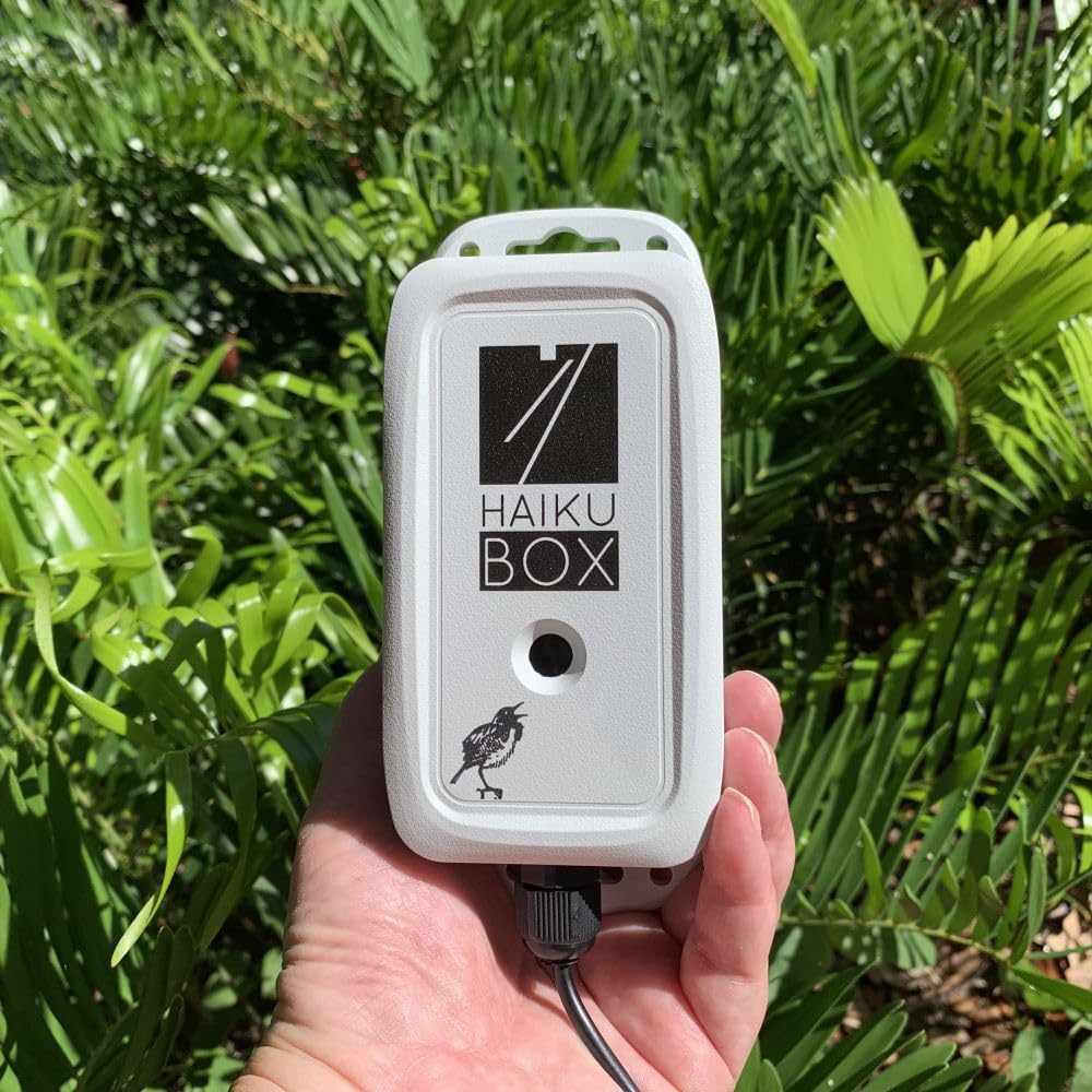 Mua Haikubox Birdsong Identifier: Better than a camera, 24/7 backyard ...