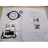 Amazon.com: Vacuum Pump Seal Kit Fits 94-02 Dodge 5.9 5.9L Cummins ...